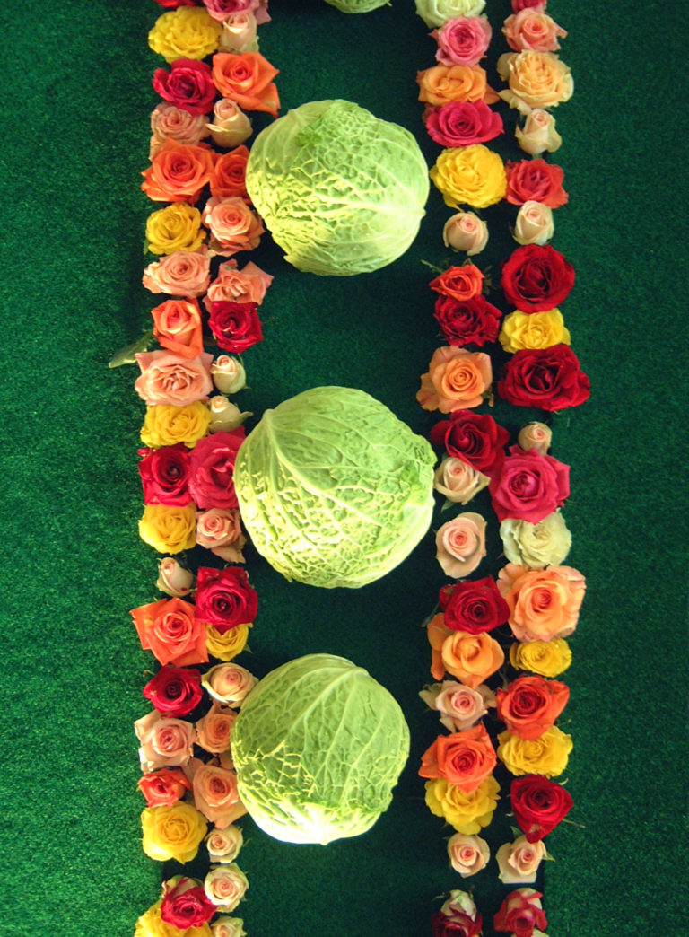 Potager vertical – Zelda Georgel